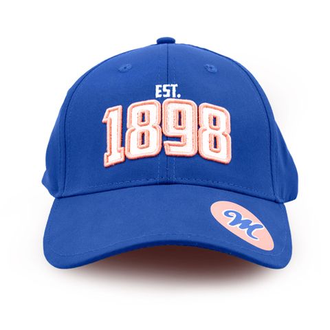 Order Manner Original Neapolitan Wafers 4 pieces 300g online now